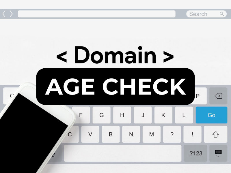 Domain age check là gì? Top công cụ check domain age chính xác nhấtZ ...